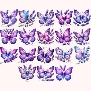 Lavender Butterfly Clipart Bundle 18 PNG Watercolor Cute Purple ...