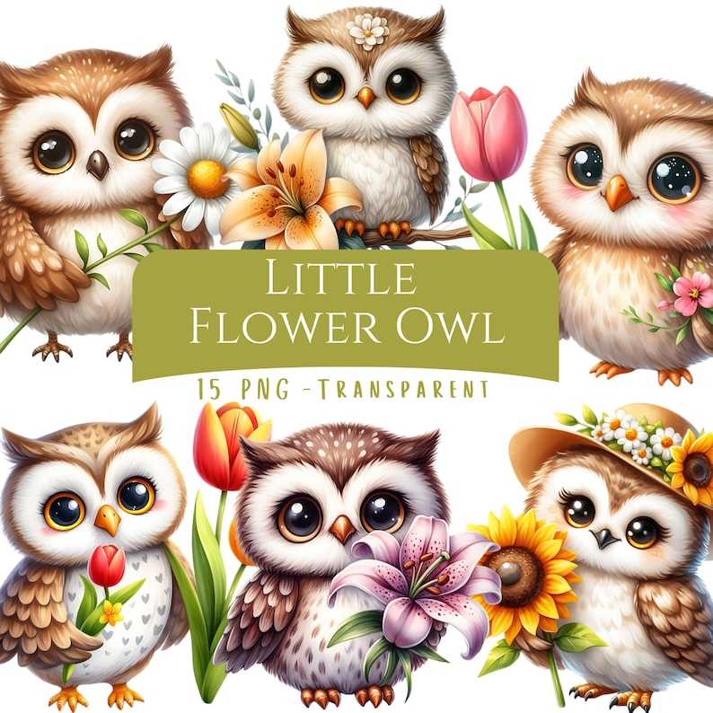 Little Flower Owl Clipart Bundle 15 PNG Watercolor Floral Owl Digital ...