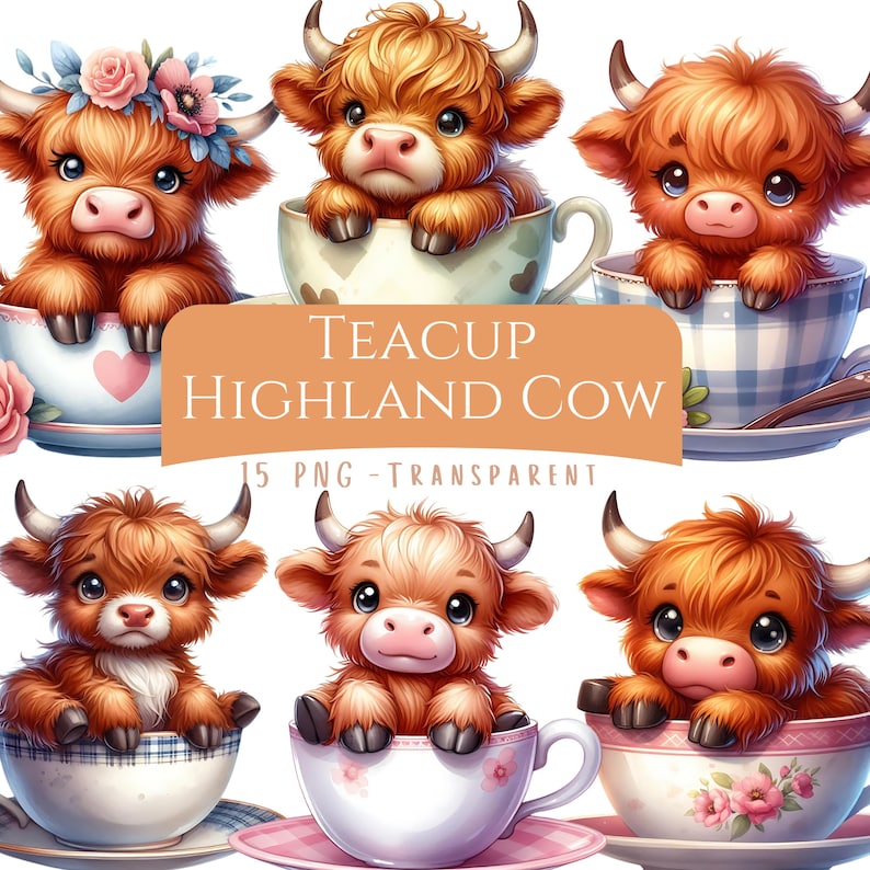 Teacup Highland Cow Clipart Bundle 15 PNG High Quality Cartoon Cute ...