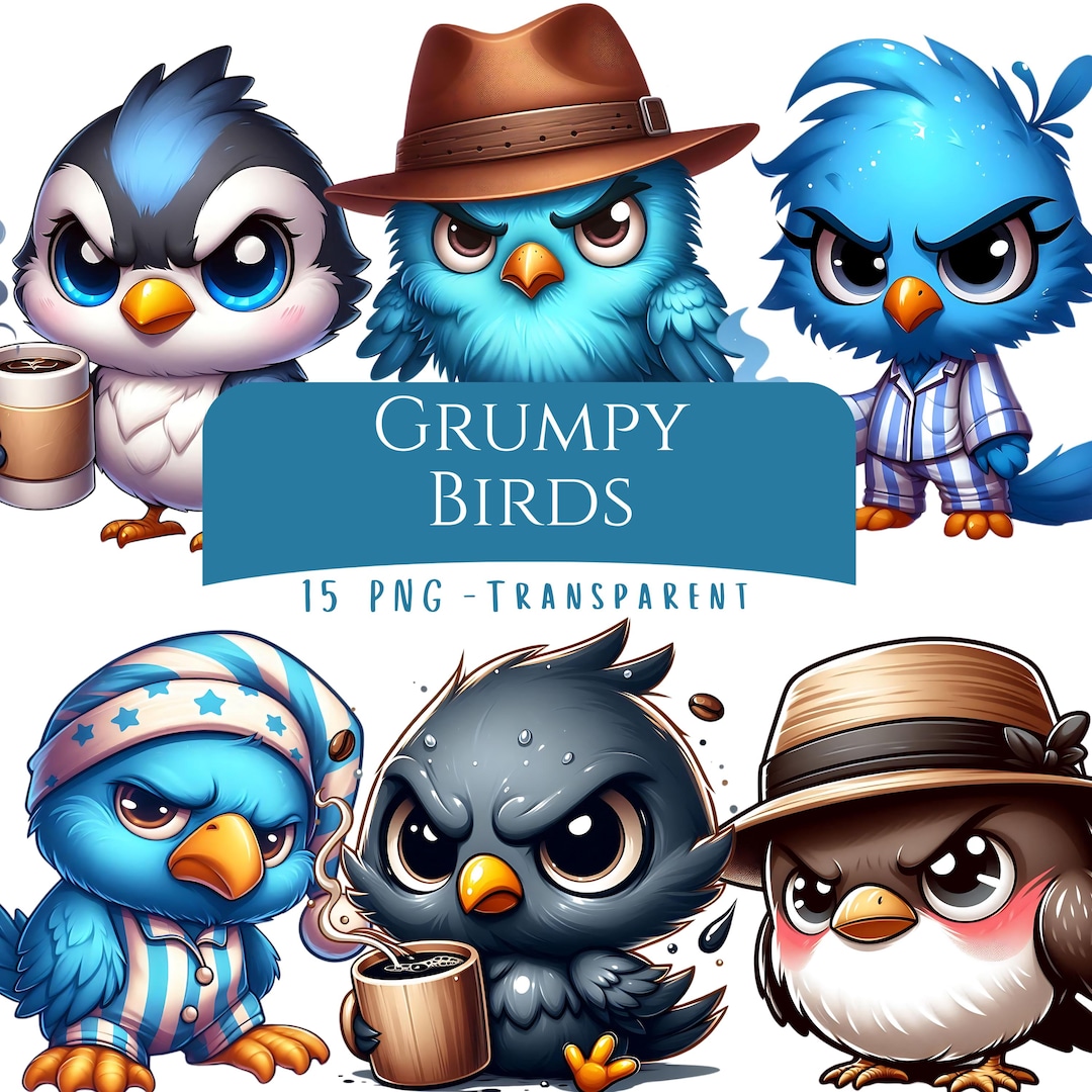 Grumpy Birds Clipart Bundle 15 PNG High Quality Cartoon Cute Quirky ...