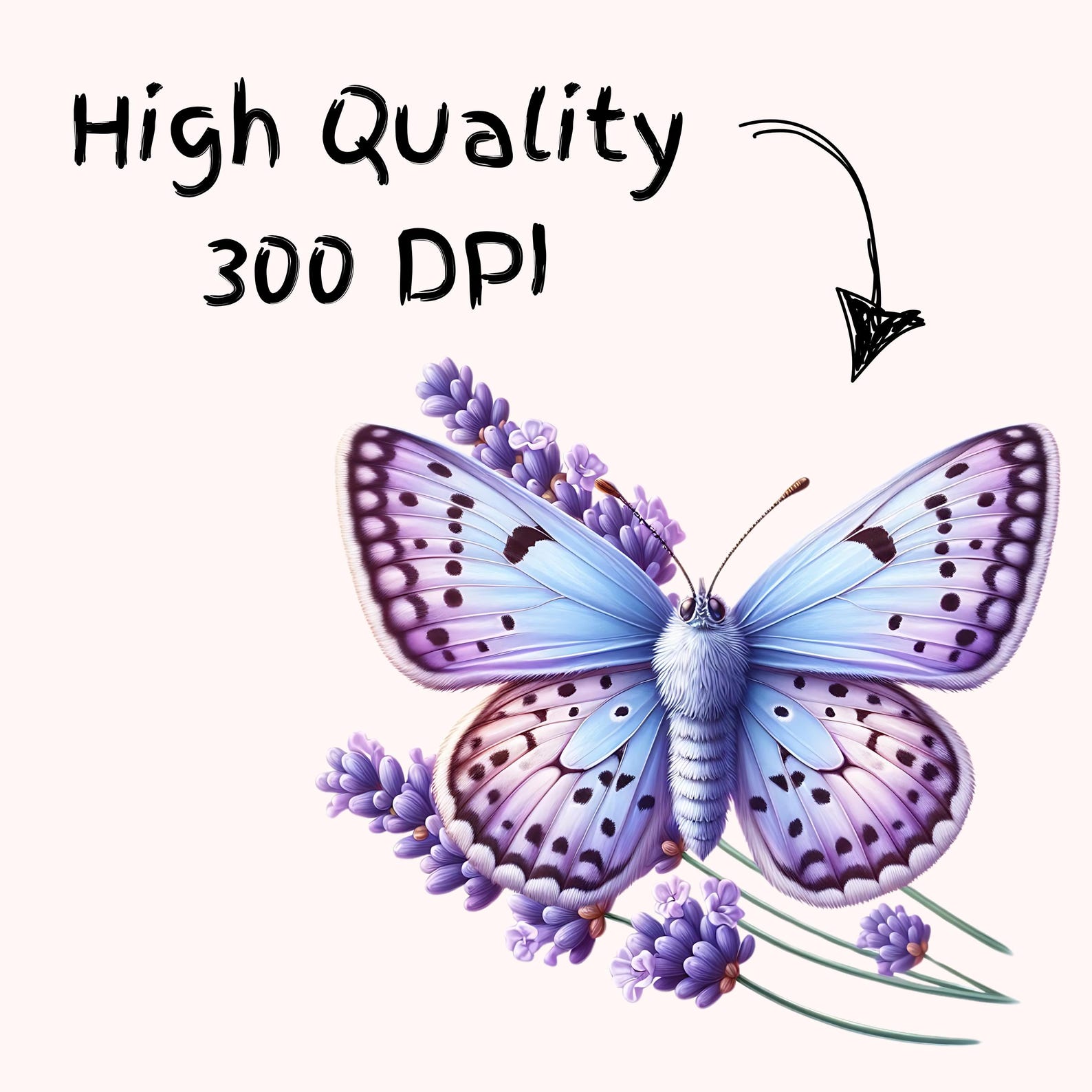 Lavender Butterfly Clipart Bundle 18 PNG Watercolor Cute Purple ...