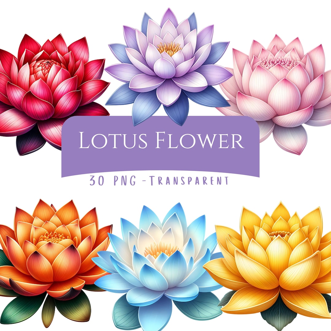 Lotus Flower Clipart Bundle 30 PNG High Quality Watercolor Vibrant ...