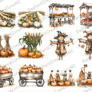 Pumpkin Patch Clipart Pack - Etsy