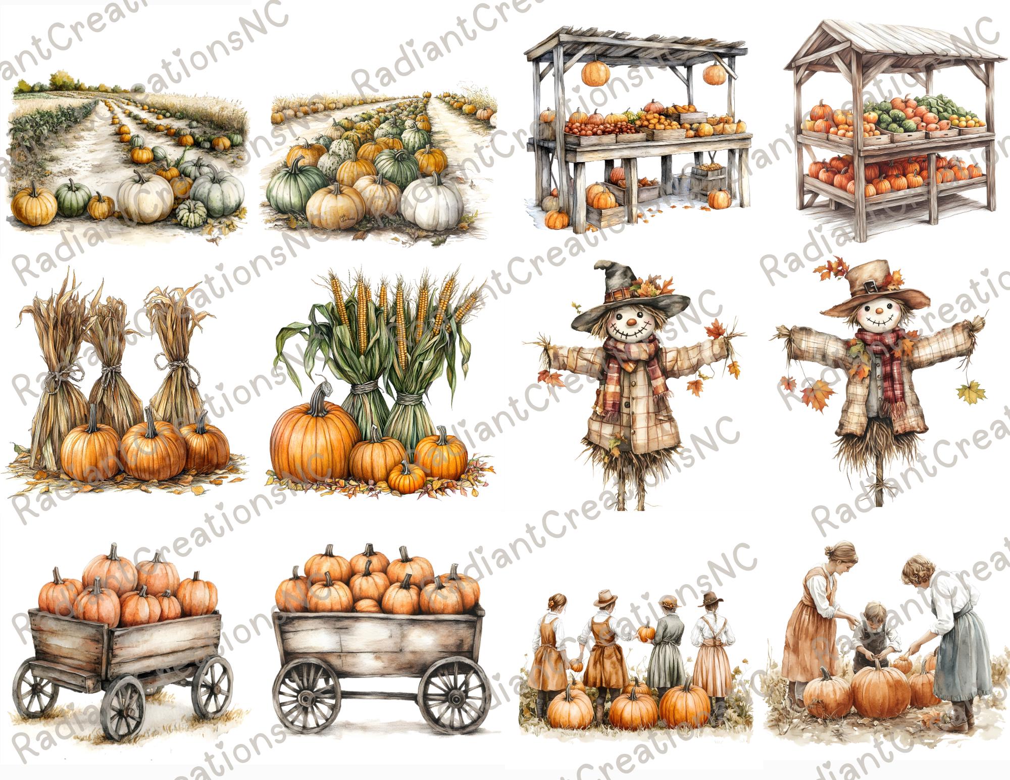 Pumpkin Patch Clipart Pack - Etsy