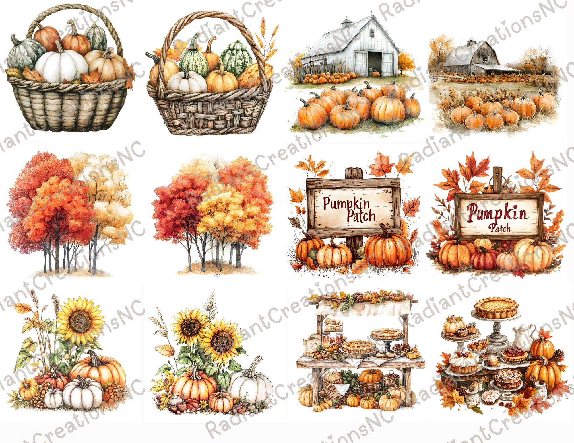Pumpkin Patch Clipart Pack - Etsy