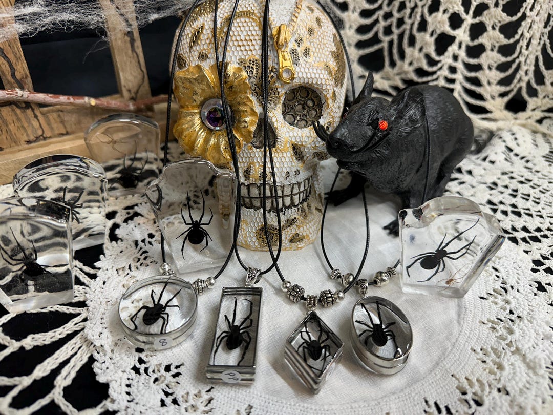 OO-RR Genuine REAL Black Widow Spiders Captured in Resin, Super Creepy ...