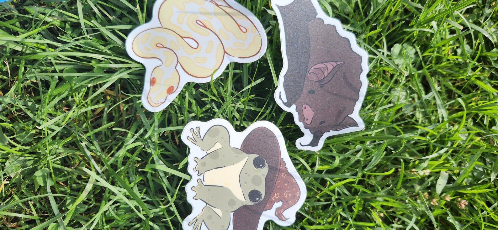 Bat, Snake, Frog Sticker Combo - Etsy
