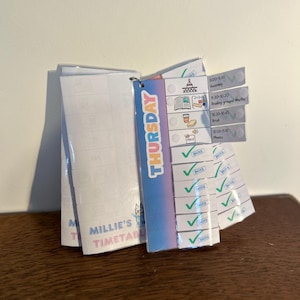 Visual School Timetable Personalised - Etsy