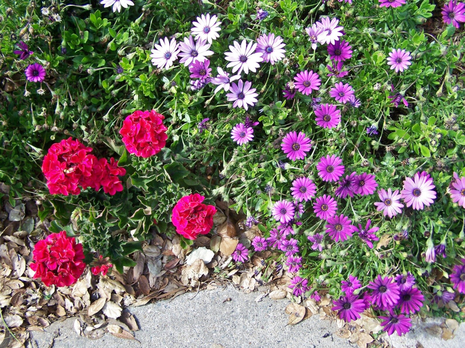70s Romper White Gauzy Strapless Summer Sunsuit Size L - Etsy