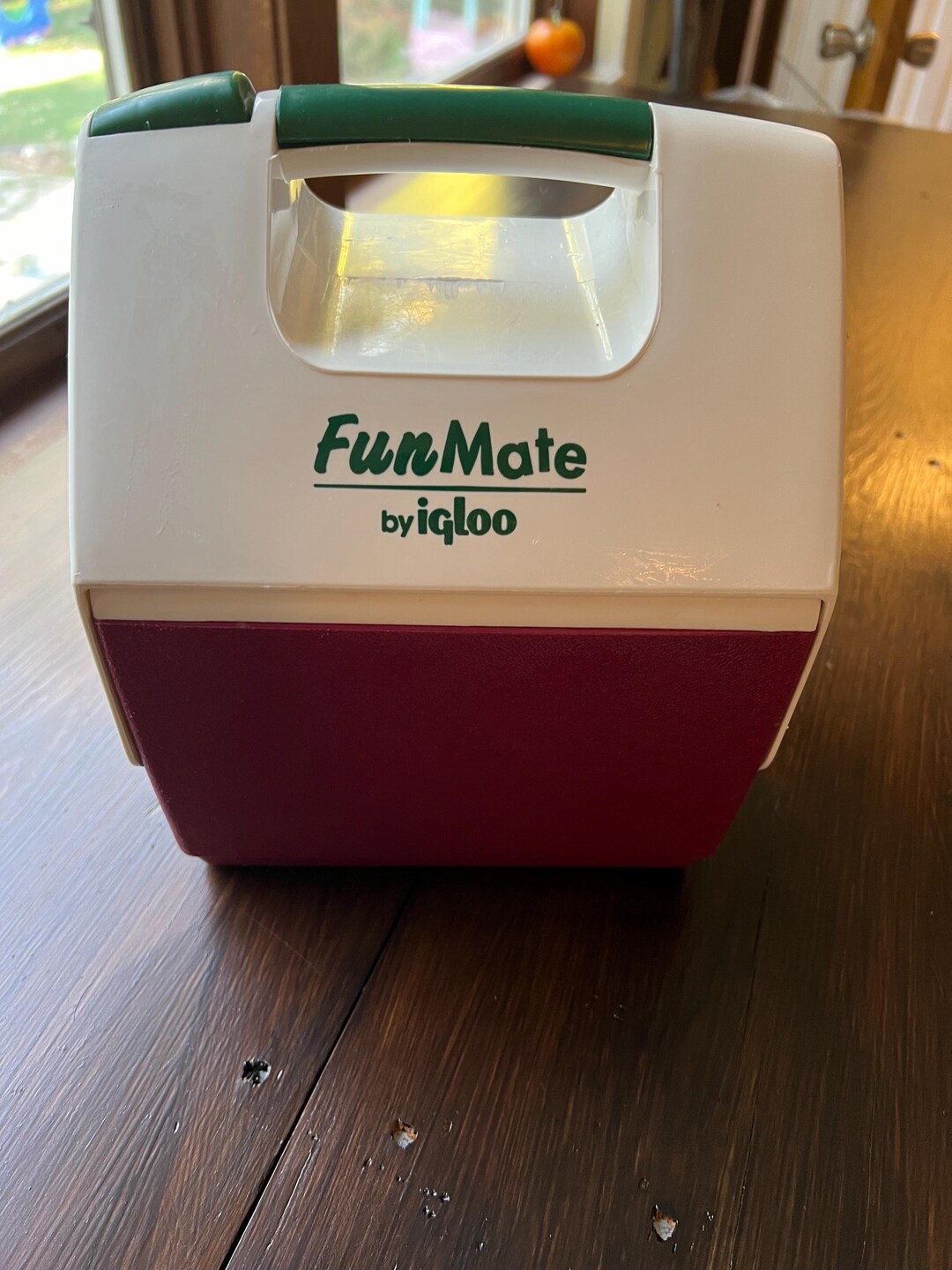 Fun Mate Cooler by Igloo - Etsy