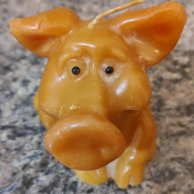 Pig Candle - Etsy