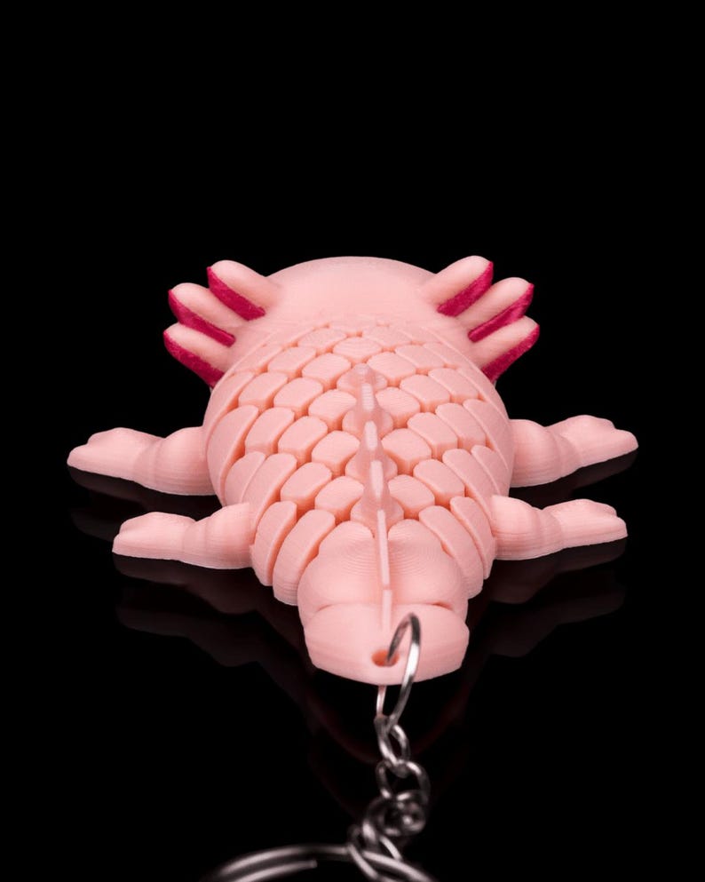 Ashley the Axolotl, Fidget, Keychain, Toys, 3D Prints, STL, Axolotl ...