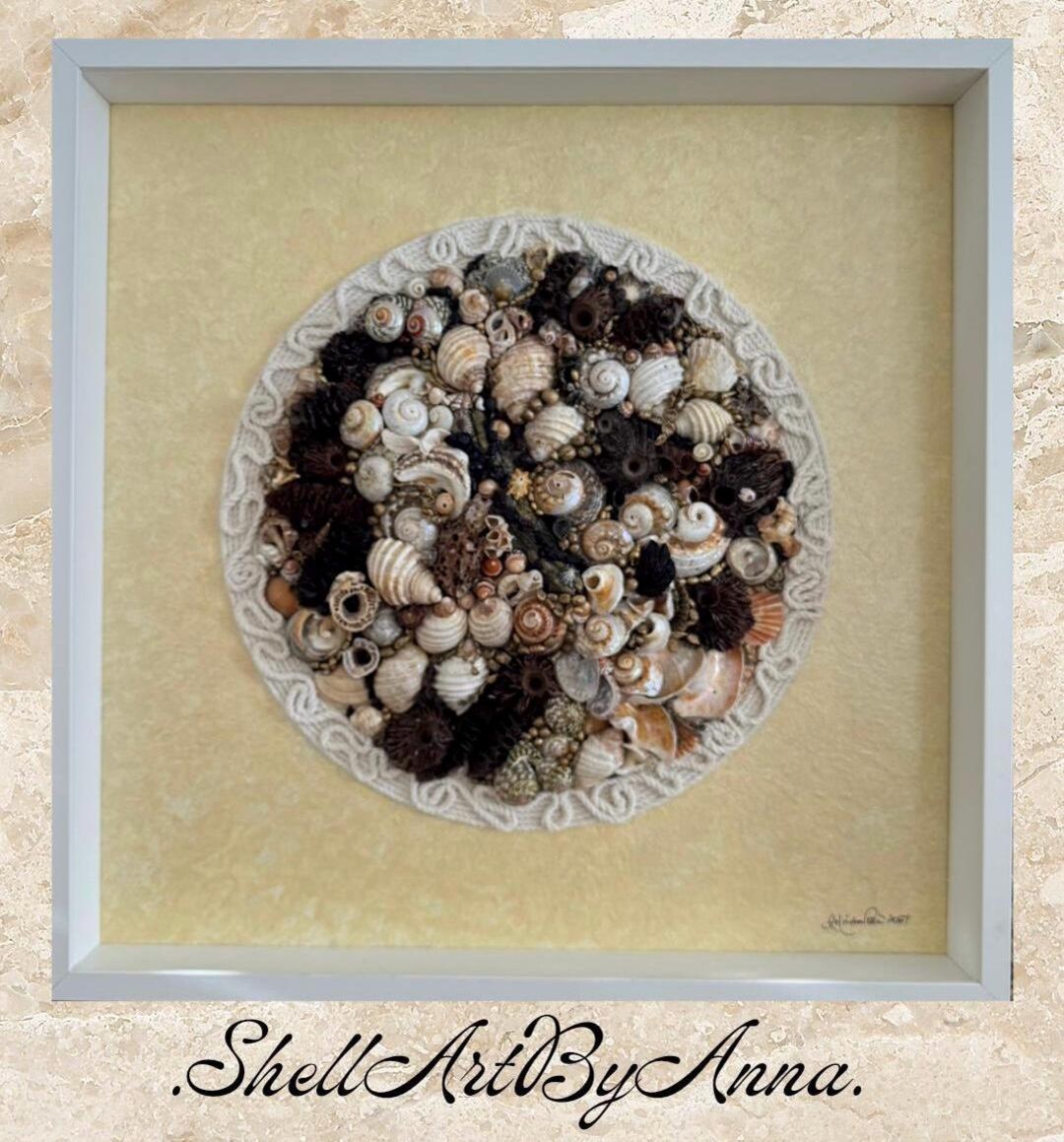 Coastal Wall Art | Large Shell Art Display | Beach House Art | | White ...