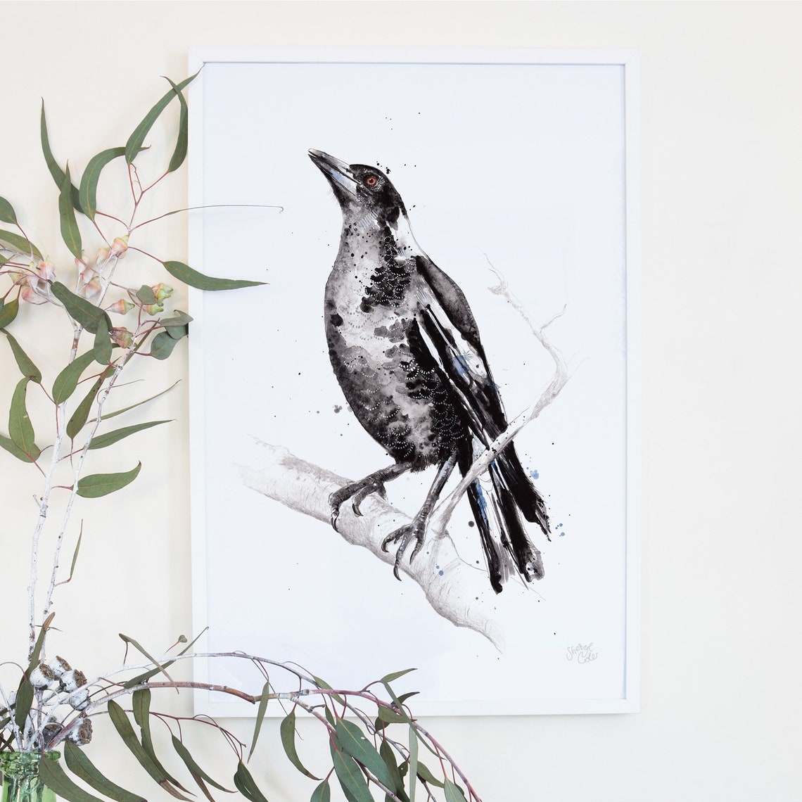 Australian Birds Magpie Giclee Art Print, Limited Edition - Etsy