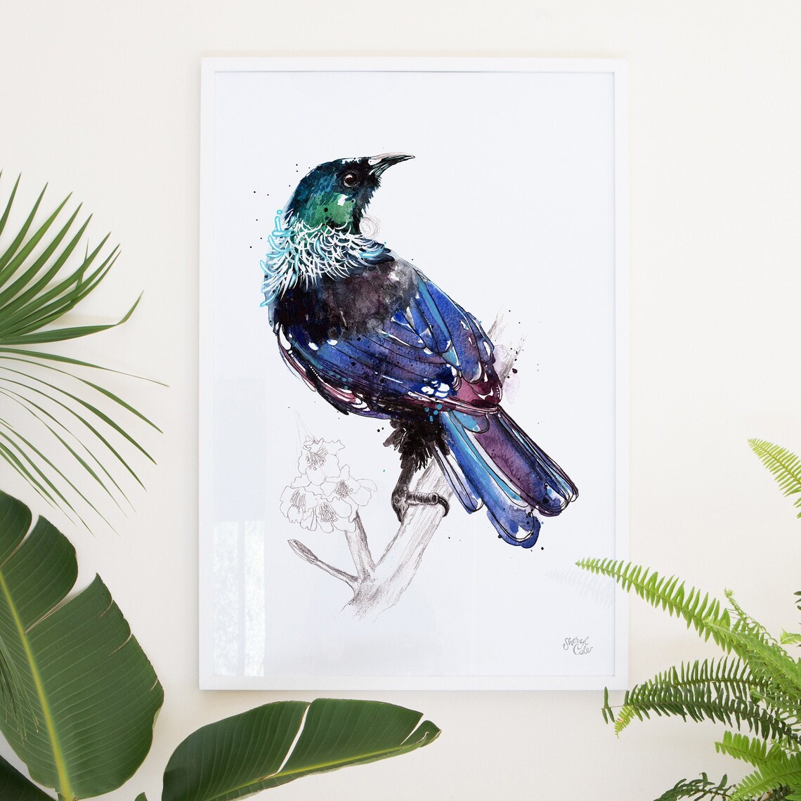 New Zealand Bird Tui Limited Edition Giclee Art Print - Etsy Australia