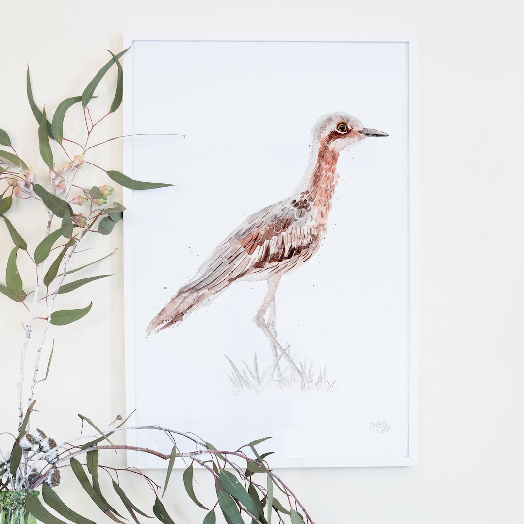 Australian Bush-stone Curlew Art Print, Watercolour Bird Giclée - Etsy