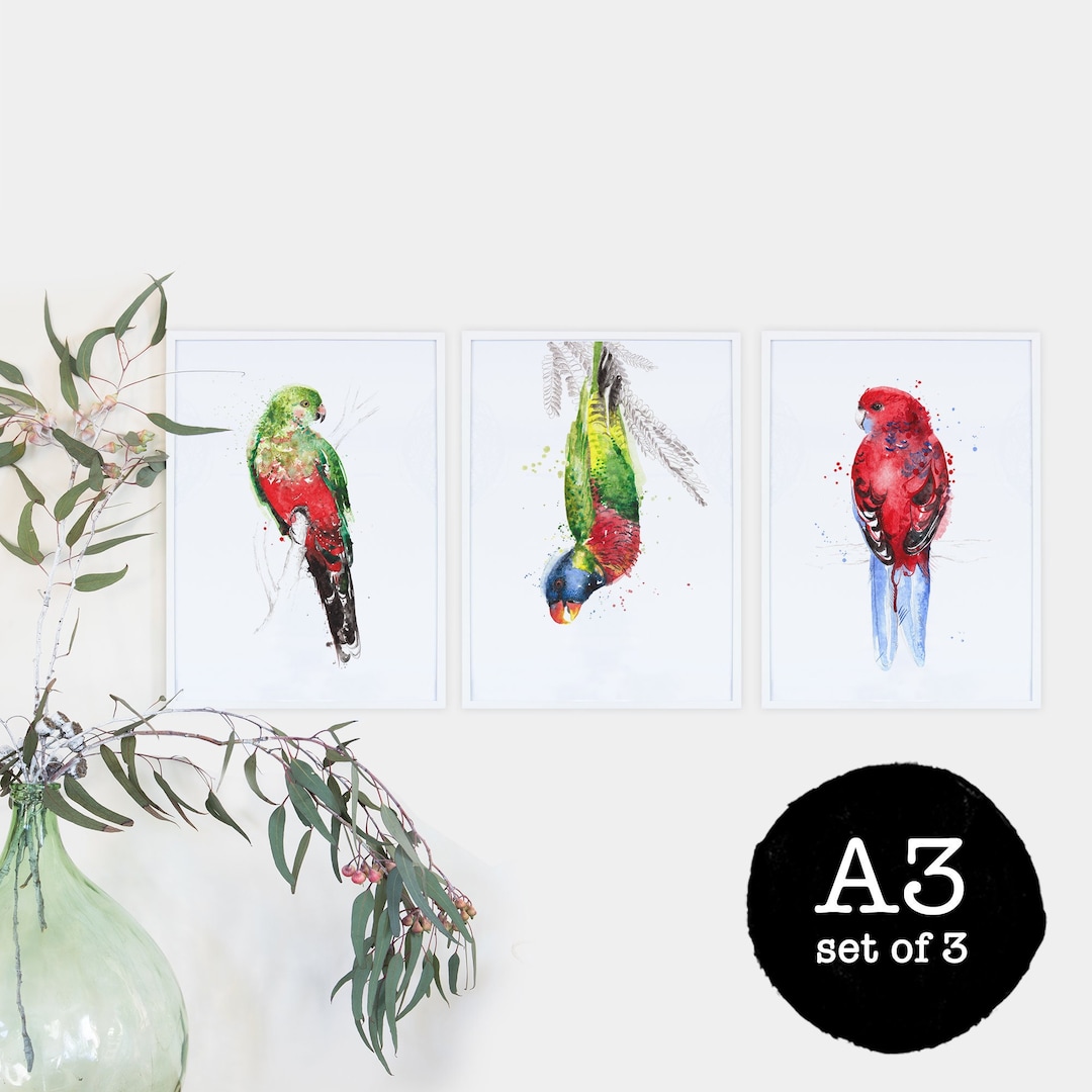 Australian Birds A3 Print Set of 3, Giclee, Australiana - Etsy