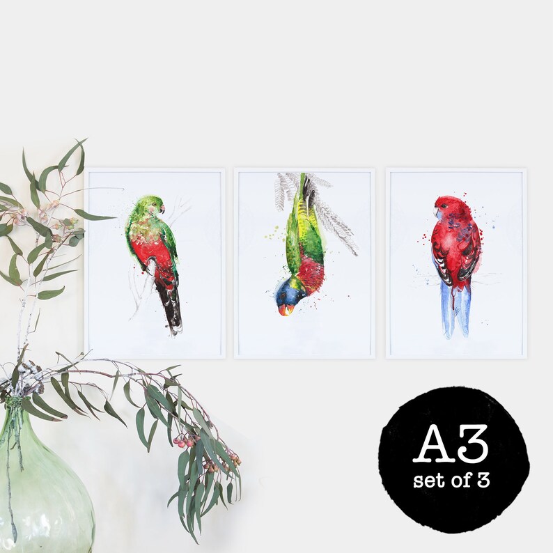 Australian Birds A3 Print Set of 3 Giclee Australiana - Etsy