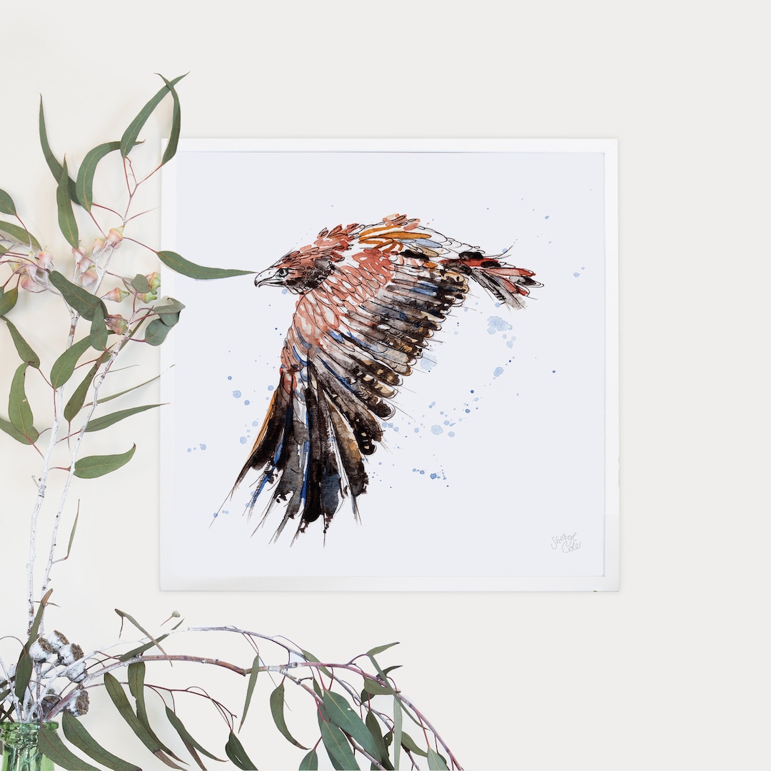 Australian Bird Wedge Tail Eagle Bunjil Giclee Archival Art Print ...