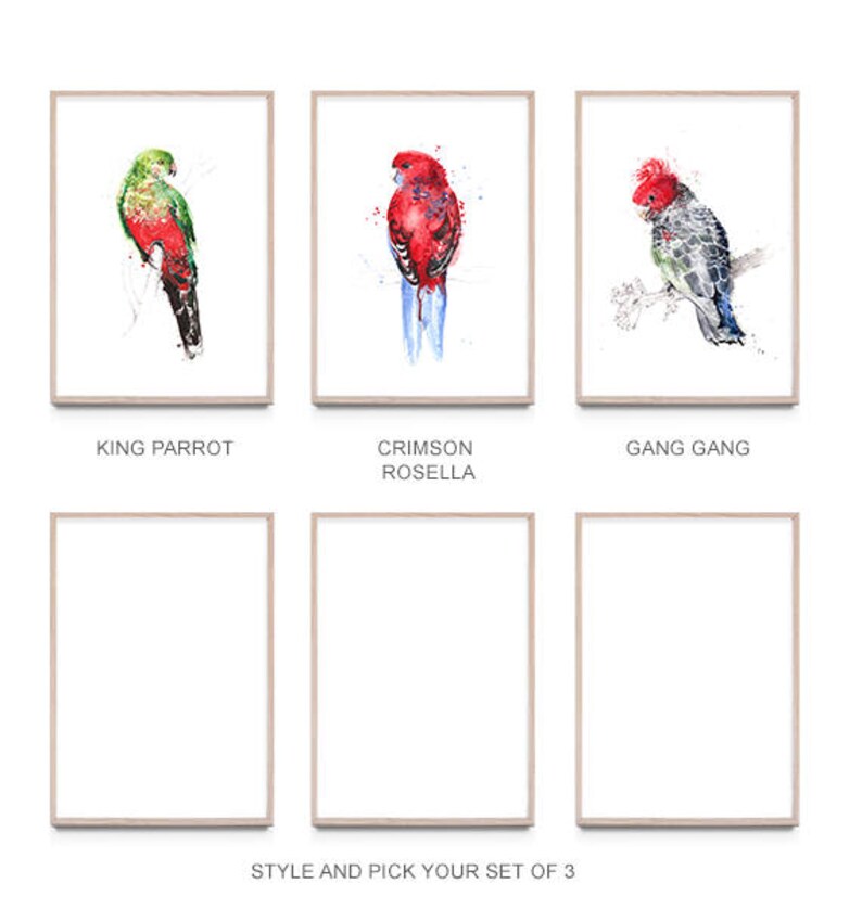 Australian Birds A3 Print Set of 3 Giclee Australiana - Etsy