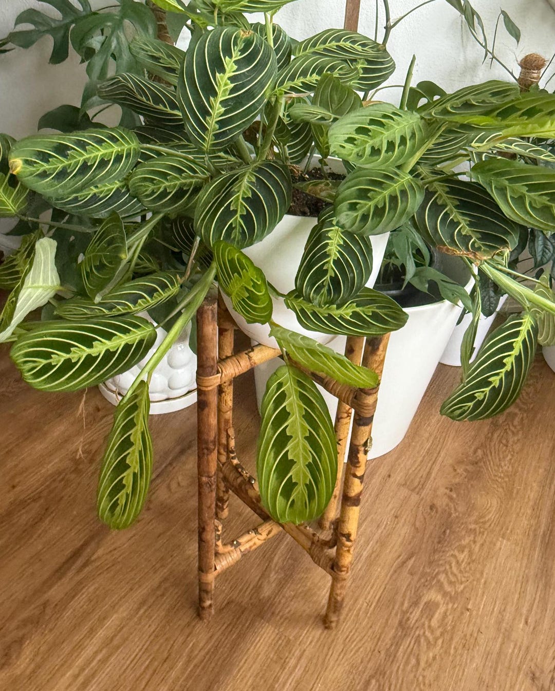 Bamboo & Rattan Plant Stand 18x9 Beautiful Natural Vintage From Late 80 ...