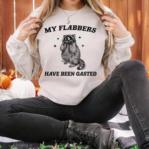 My Flabbers Have Been Gasted SVG PNG, Funny Raccoon Meme, Funny Trash ...