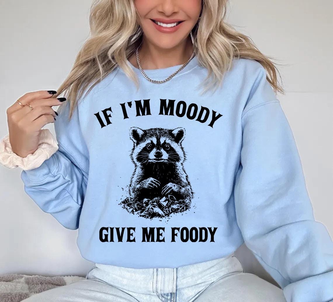 If Im Moody Give Me Foody PNG, Funny Raccoon Meme PNG, Funny Trash ...