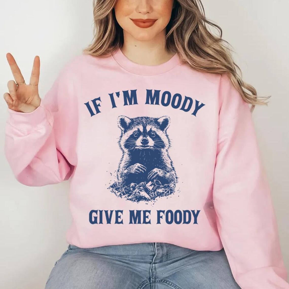 If Im Moody Give Me Foody PNG, Funny Raccoon Meme PNG, Funny Trash ...