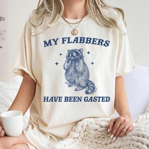 My Flabbers Have Been Gasted SVG PNG, Funny Raccoon Meme, Funny Trash ...