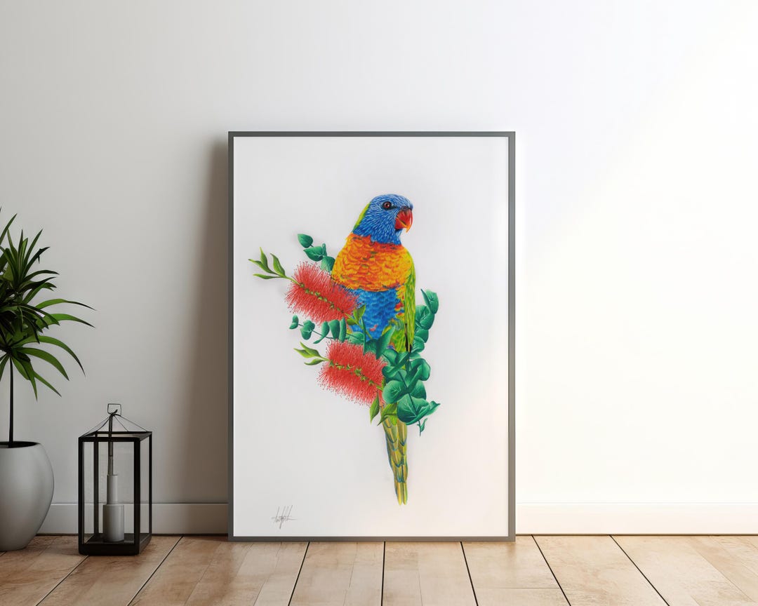 Lorikeet Print, Native Australian Bird Prints, Lorikeet Paintings ...