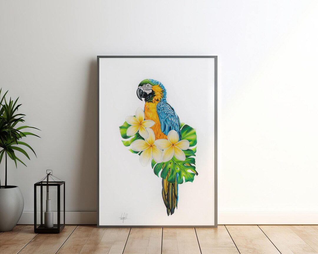 Pencil Macaw Print, Native Australian Bird Prints, Macaw Paintings ...