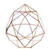 Roofed Icosidodecahedron Mega Terrarium / Geometric Glass Plant Pot ...