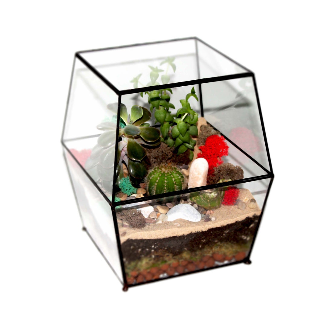 Large Enclosed Terrarium / Sliding Door / Glass Planter With Lid ...