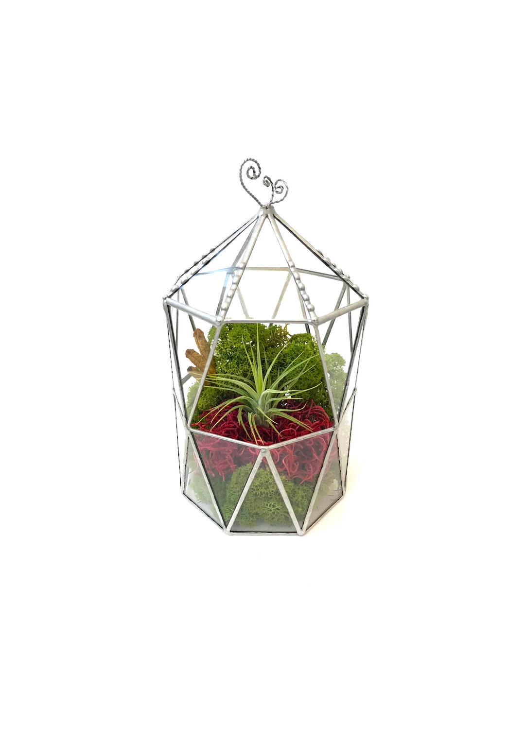 Octagonal Mega Cage Geometric Terrarium / Glass Plant Pot / Modern ...