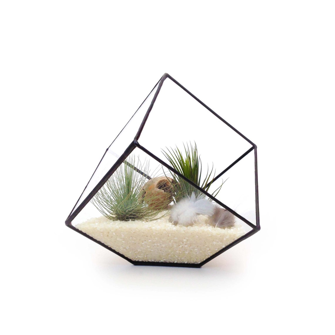 Cube Medium Geometric Glass Terrarium / Handmade Planter / - Etsy