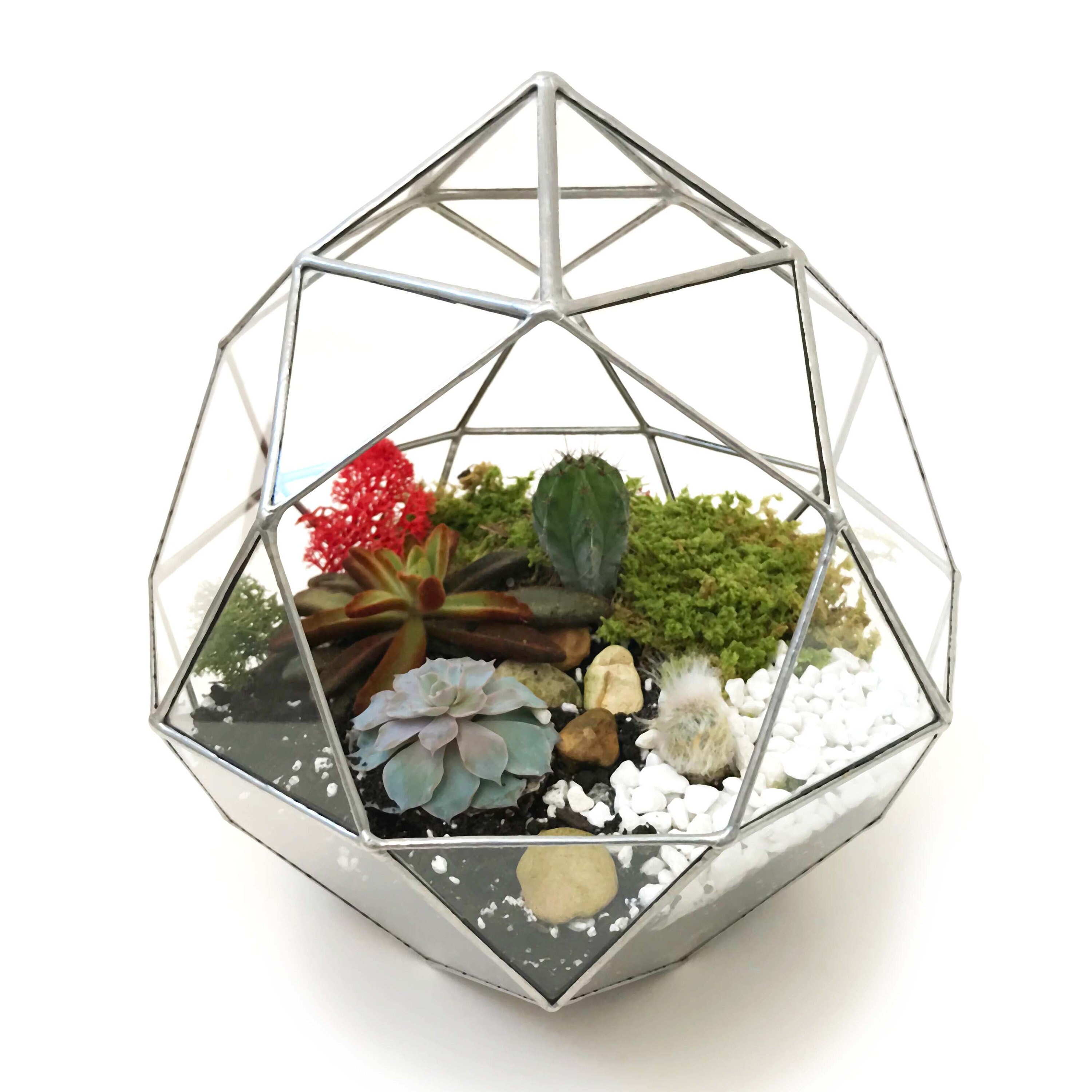 Roofed Icosidodecahedron Mega Terrarium / Geometric Glass | Etsy
