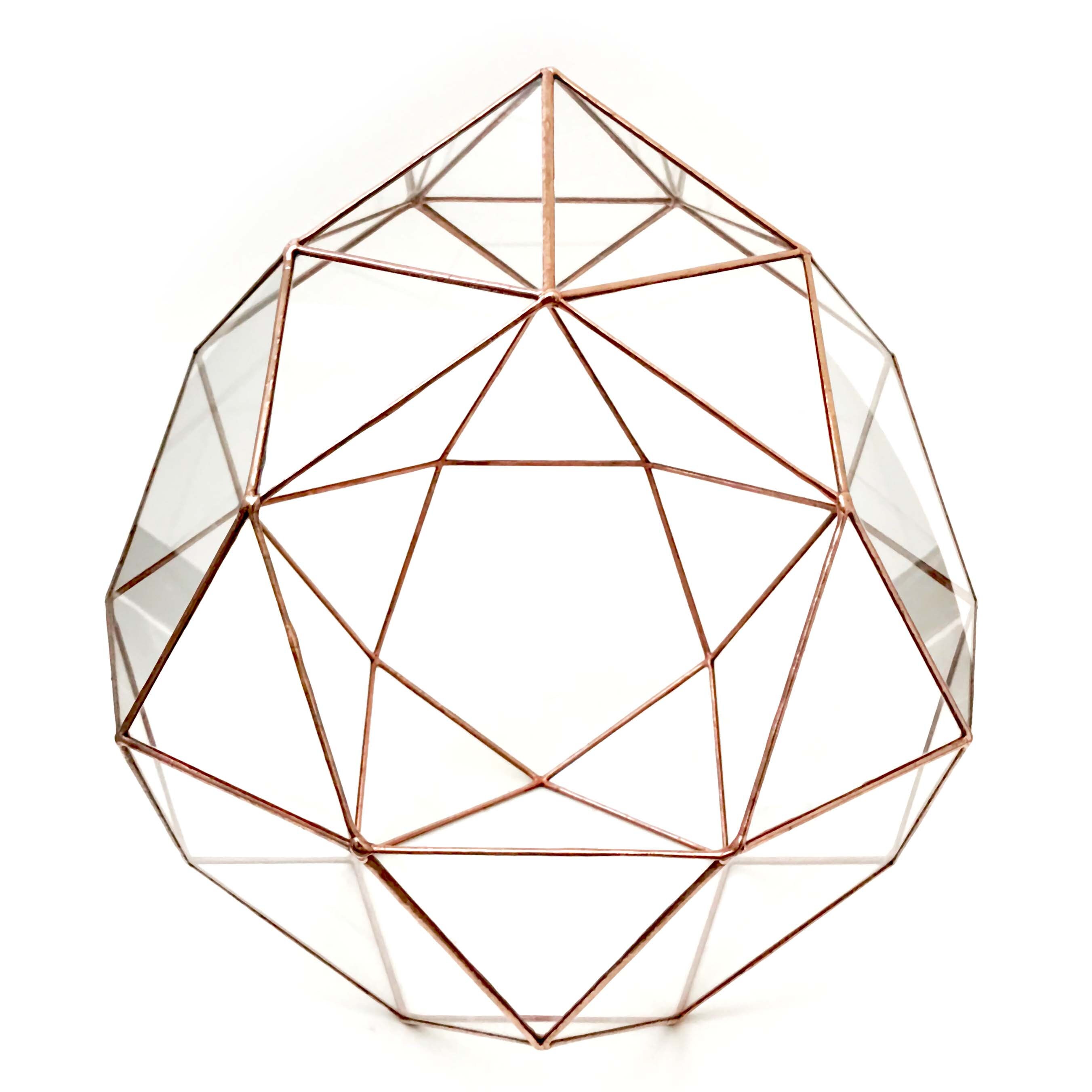 Roofed Icosidodecahedron Mega Terrarium / Geometric Glass - Etsy