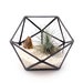 Icosahedron Small Geometric Glass Terrarium / Handmade Planter - Etsy