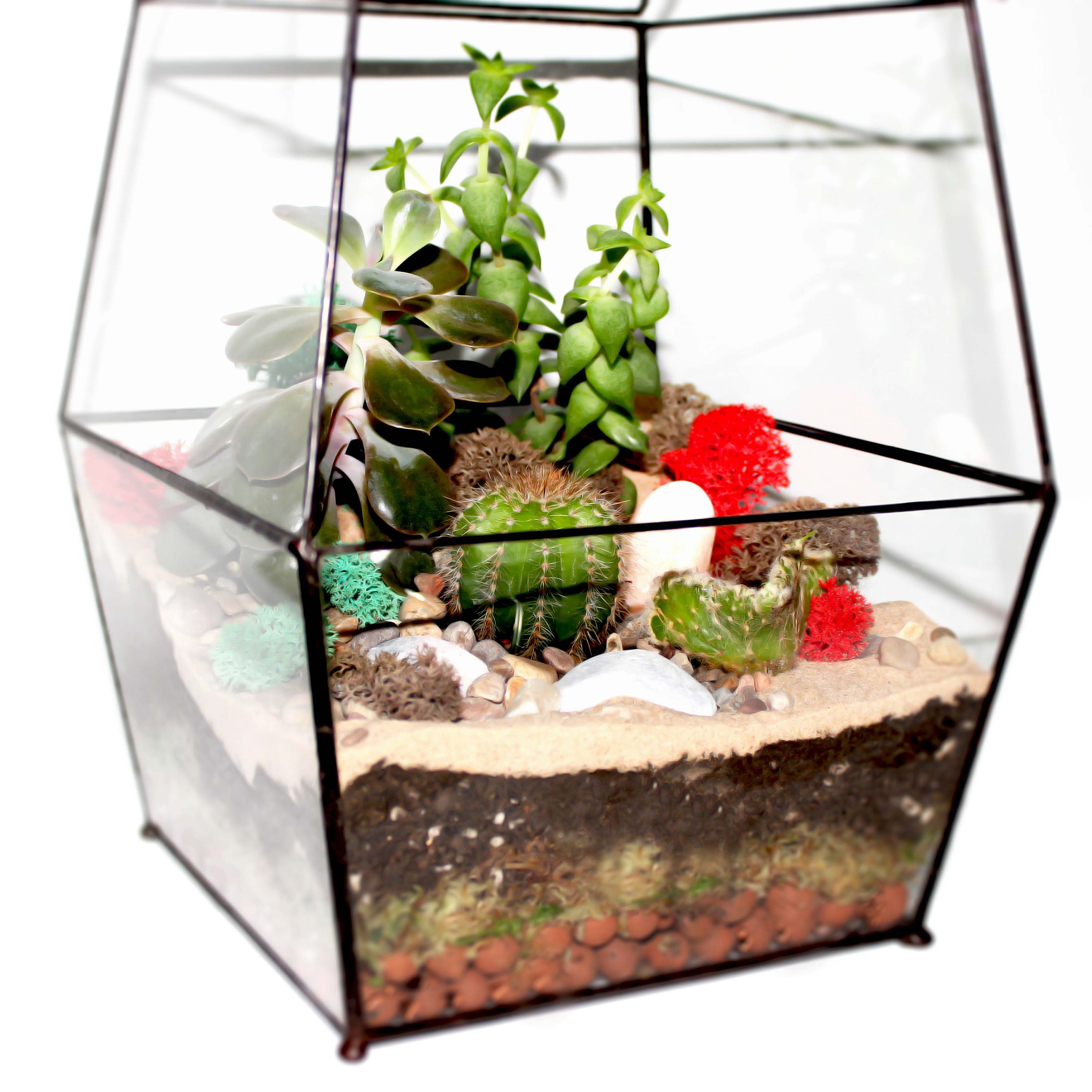 Large Enclosed Terrarium / Sliding Door / Glass Planter With Lid ...
