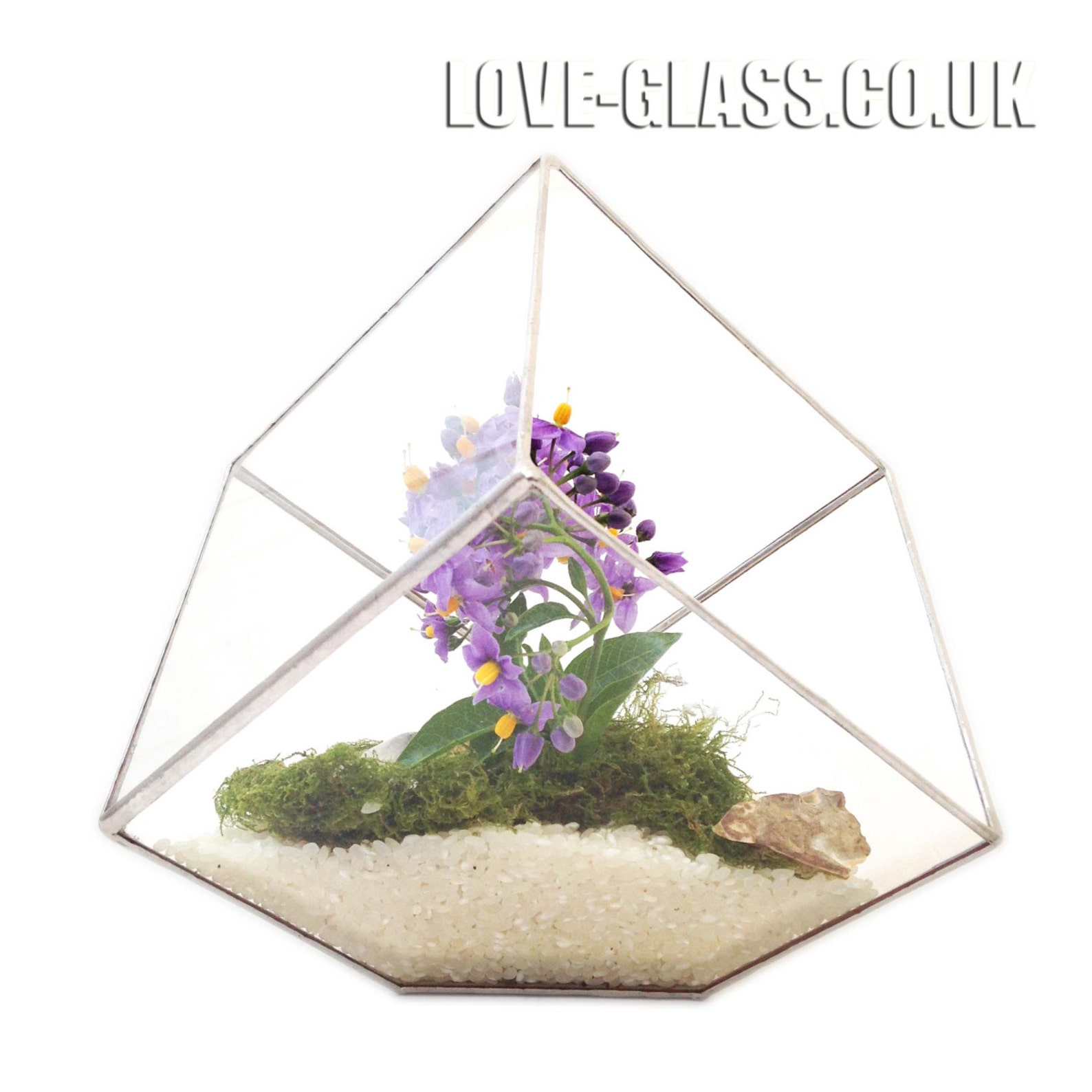 Cube Medium Geometric Glass Terrarium / Handmade Planter / - Etsy