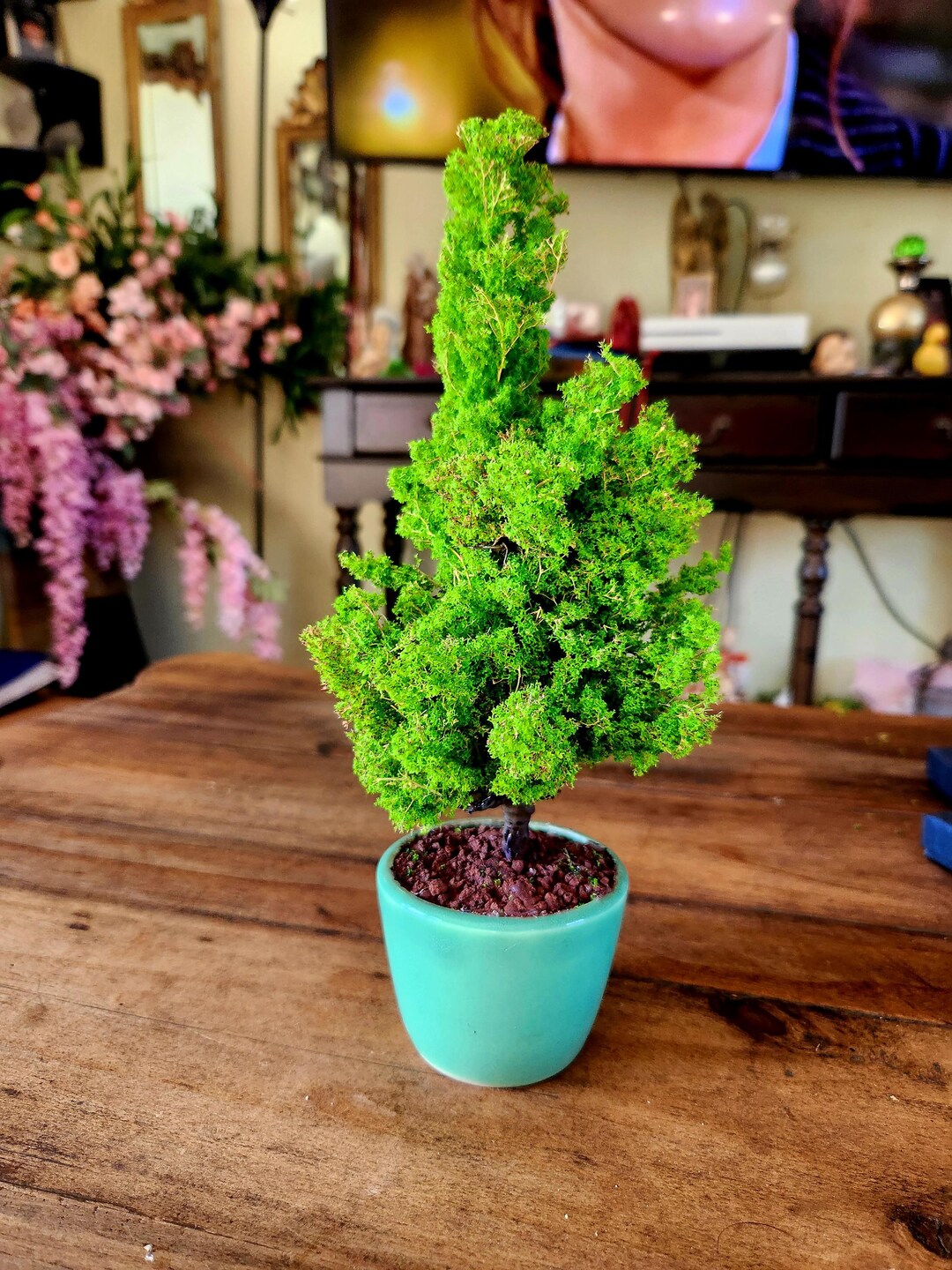 Bonsai Tree Artificial Miniature Juniper - Evergreen - Not Real or Live ...