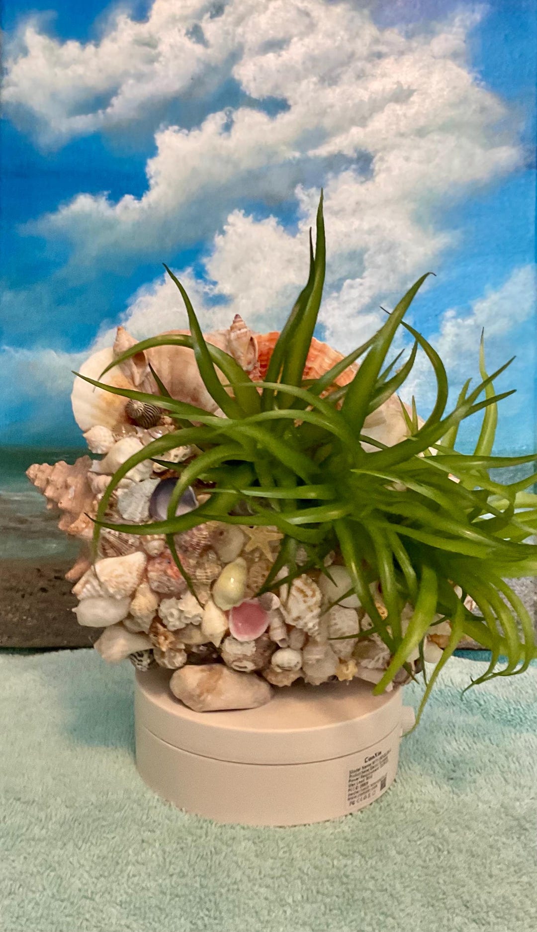 Conch Shell Cover With Mini Seashells and Artificial Plants Coastal ...