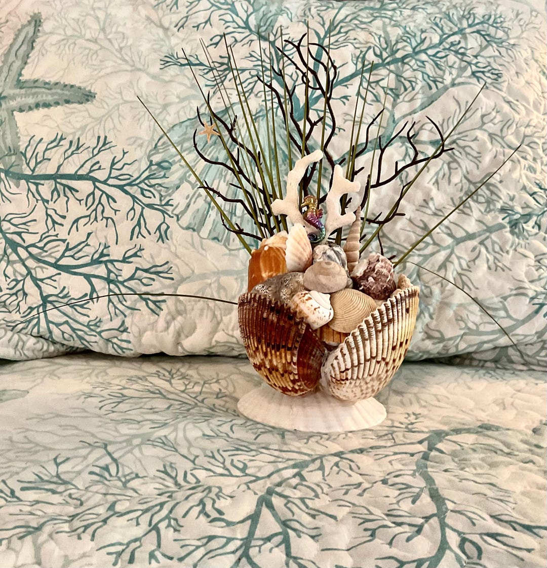 Seashell Statue, Atlantic Cockle Shells, Coral Decor - Etsy