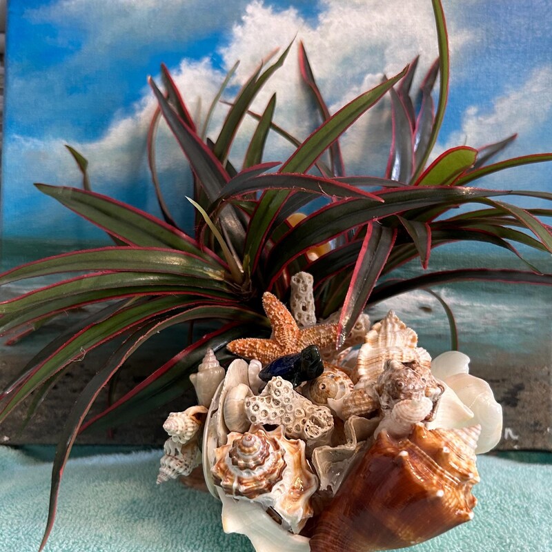Beach Centerpiece - Etsy