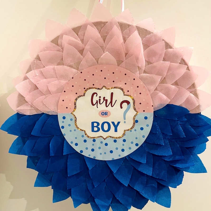 Gender Reveal Pinata - Etsy
