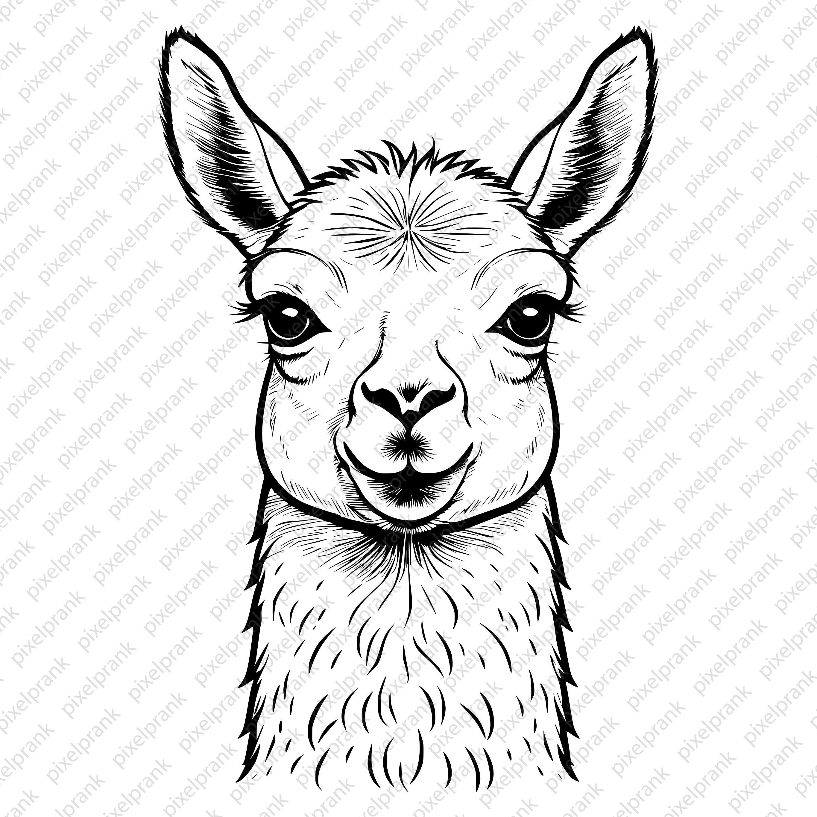 Lama SVG Bundle Vol.3 - 25 Clipart Designs for Laser Cutters, Plotters ...