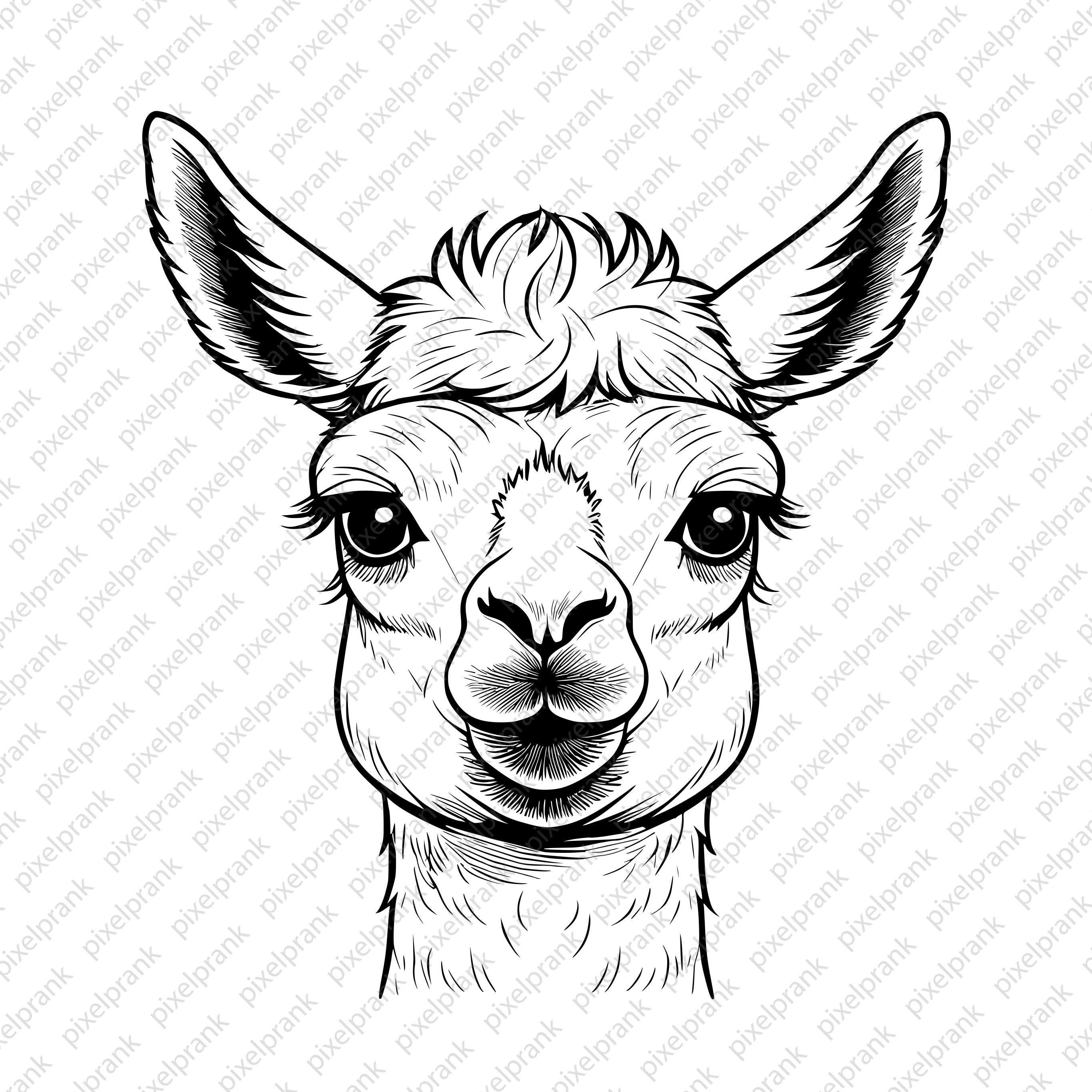 Lama SVG Bundle Vol.1 - 25 Clipart Designs for Laser Cutters, Plotters ...