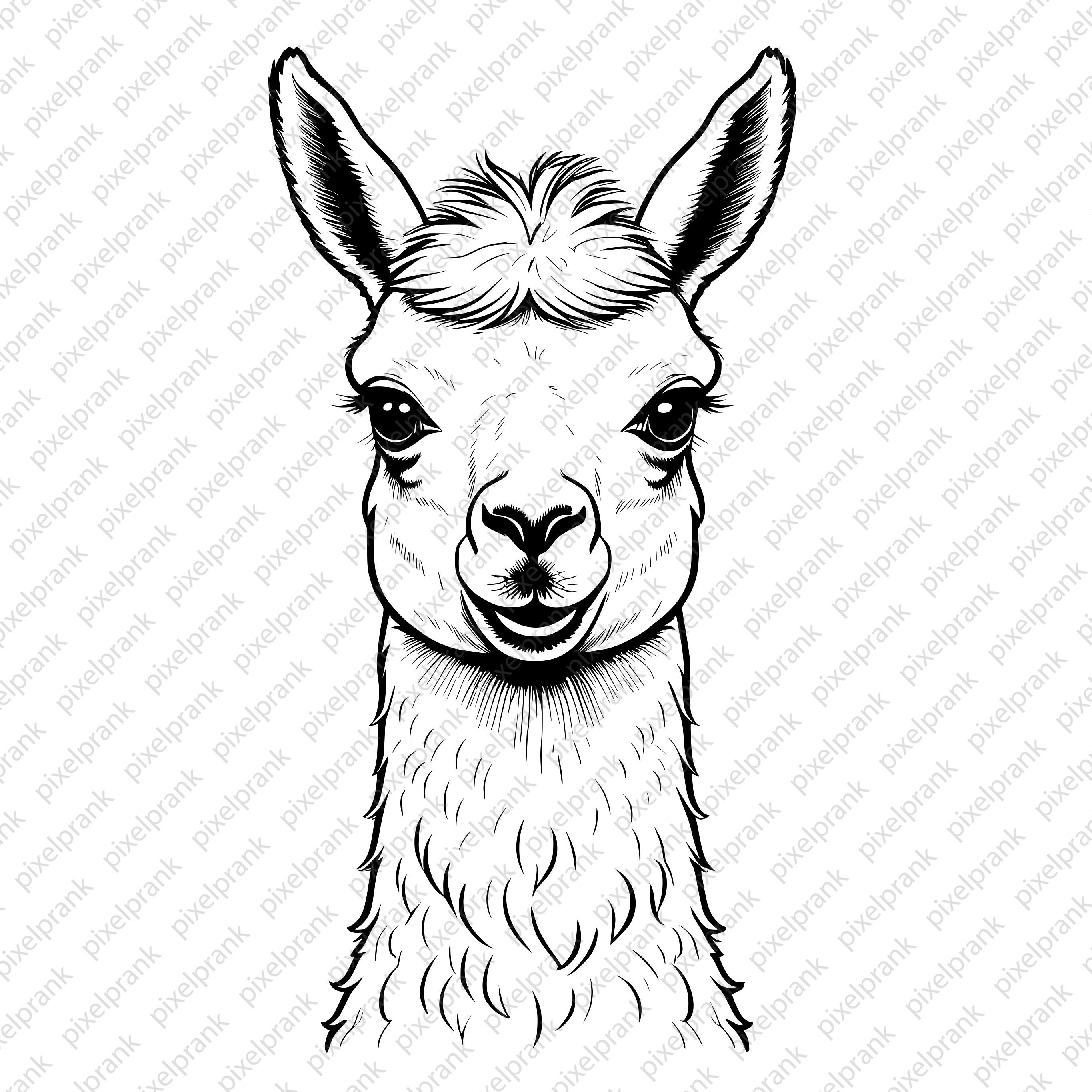 Lama SVG Bundle Vol.1 25 Clipart Designs for Laser Cutters, Plotters ...