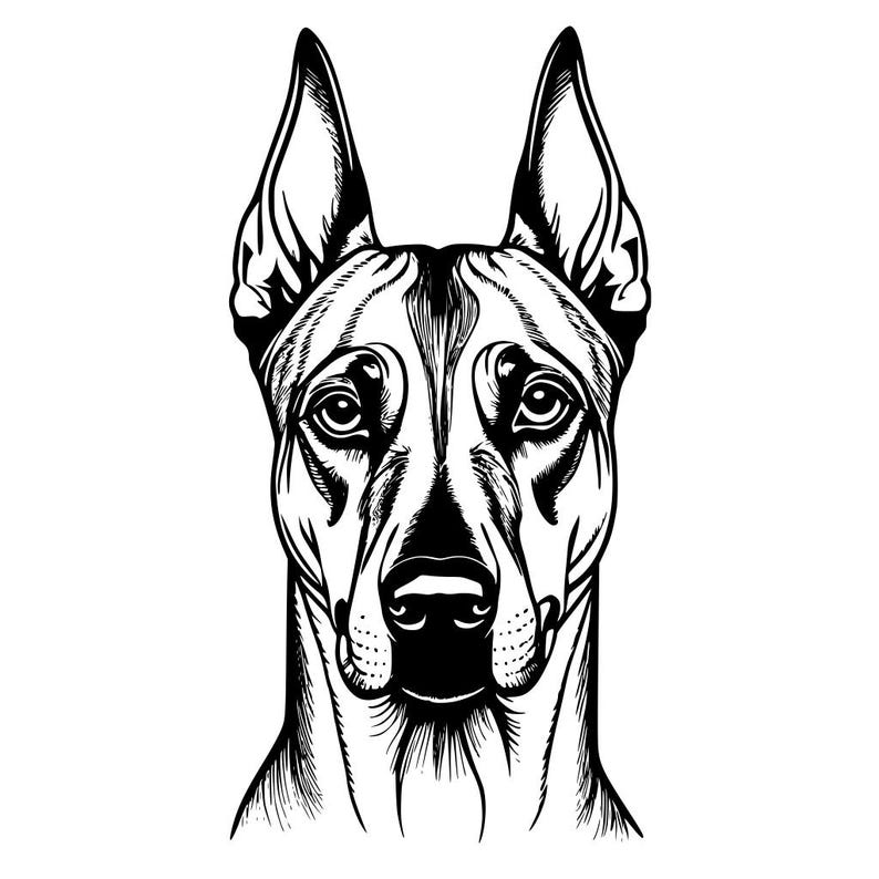 50 Dog Breeds SVG Bundle, Dog Breeds Svg, Dog Lovers, Laser, Cutting ...