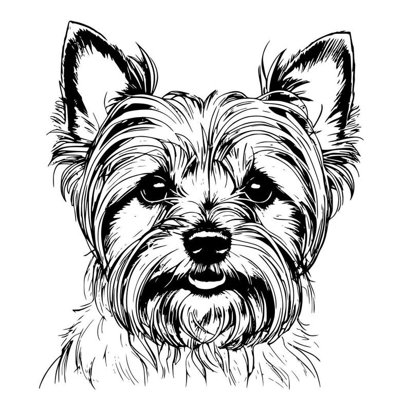 50 Dog Breeds SVG Bundle, Dog Breeds Svg, Dog Lovers, Laser, Cutting ...